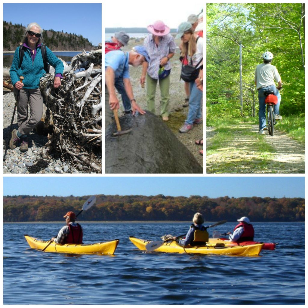 Why is Sears Island special to you? - Friends of Sears Island, Maine