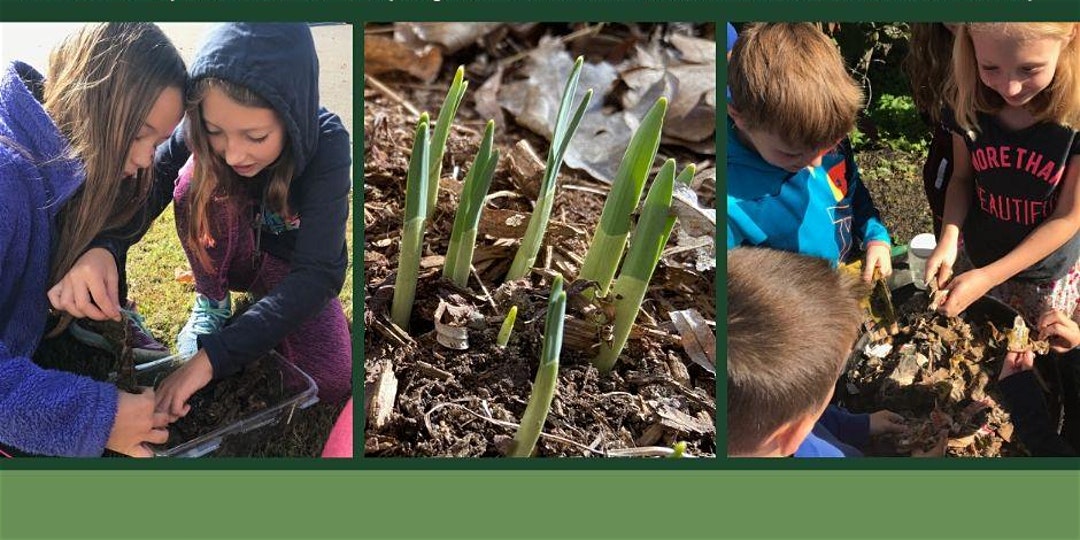 Down to Earth: Fun with Dirt, Worms, Seeds and More! - Friends of Sears ...