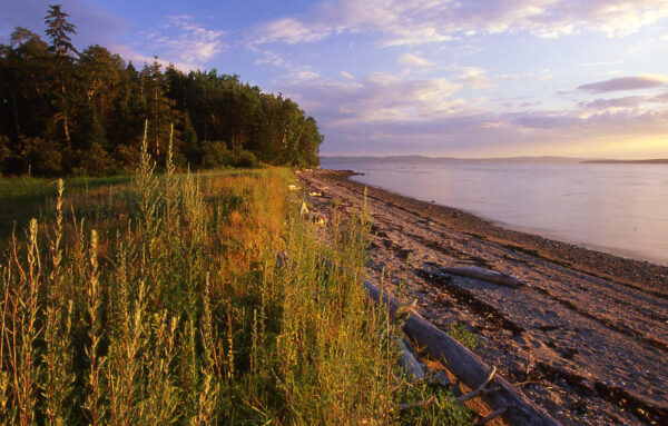 Home - Friends of Sears Island, Maine